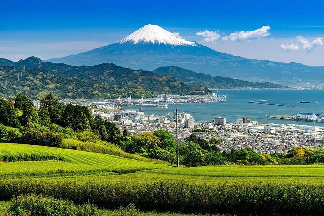 Mt Fuji and Hakone Private tour in Luxury Vehicle with Pro guide - Price Analysis and Overall Value