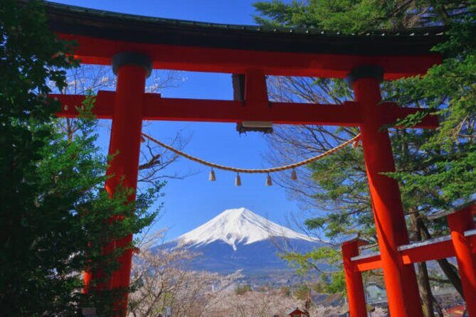 Mt Fuji and Hakone Private tour in Luxury Vehicle with Pro guide - FAQ