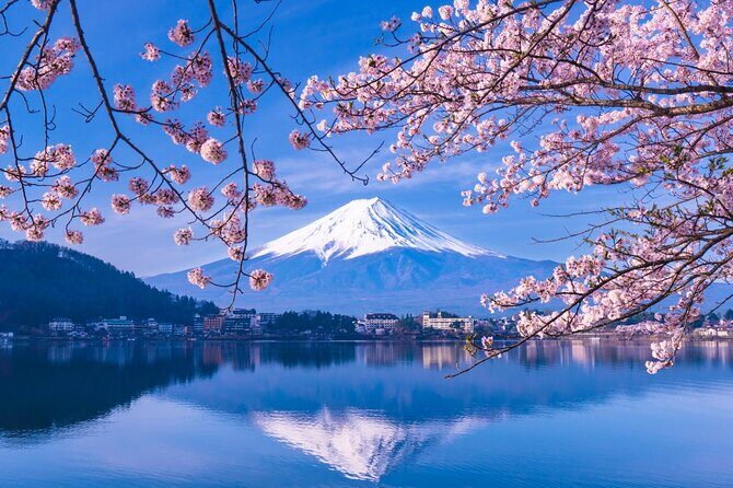 Mt. Fuji and Hakone Private Tour with English Speaking Driver - A Deep Dive into the Itinerary