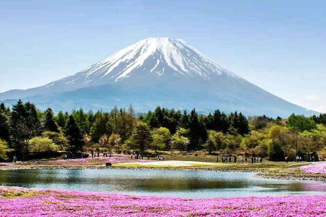 Mt. Fuji and Hakone Private Tour with English Speaking Driver - Final Thoughts