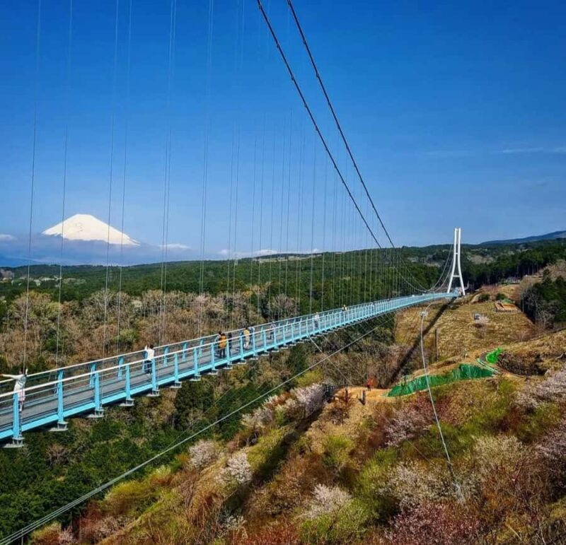 Mt Fuji and Hakone Private Tour With English Speaking Driver - Why Choose This Tour?