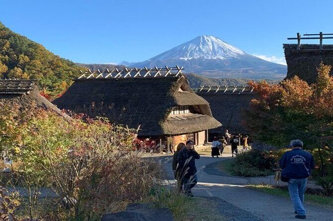 Mt. Fuji and Hakone Private Tour with English Speaking Driver - Who Should Book This Tour?