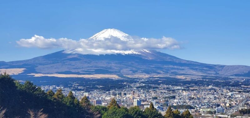Mt Fuji and Hakone Private Tour With English Speaking Driver - Key Points