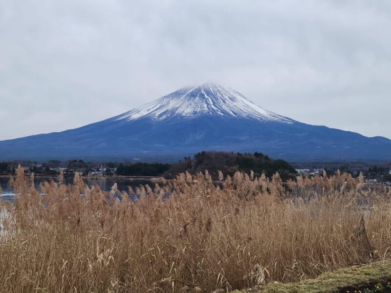 Mt Fuji and Hakone Private Tour With English Speaking Driver - An In-Depth Look at the Experience