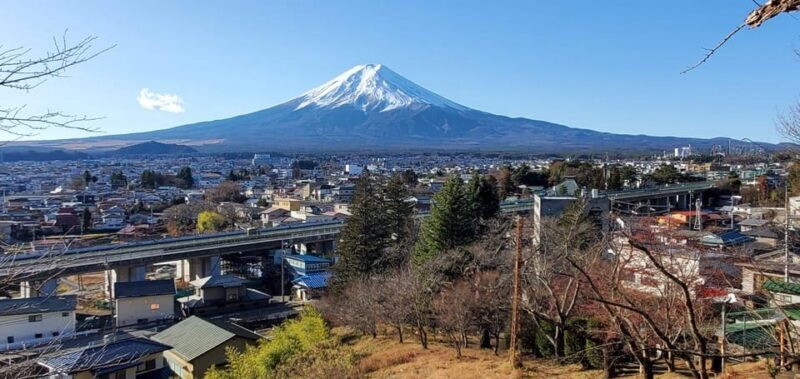Mt Fuji and Hakone Private Tour With English Speaking Driver - Final Thoughts