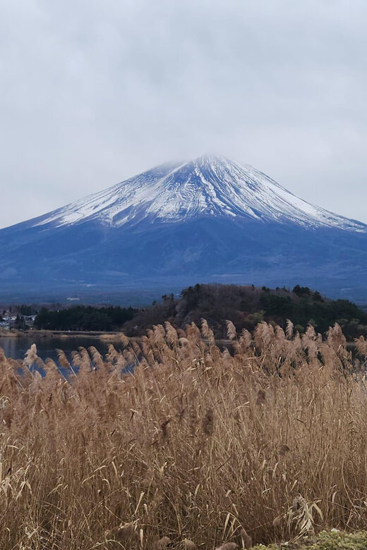 Mt Fuji and Hakone Private Tour With English Speaking Driver - FAQ