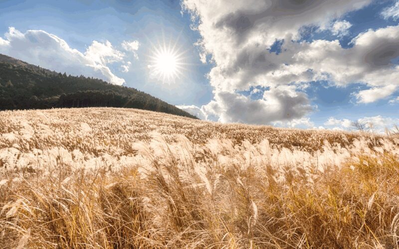 Mt.Fuji and Hakone Tour - FAQs