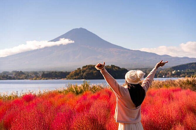Mt. Fuji and Hakone Tour from Tokyo by Car with Local Guide - Customization Options and Additional Experiences