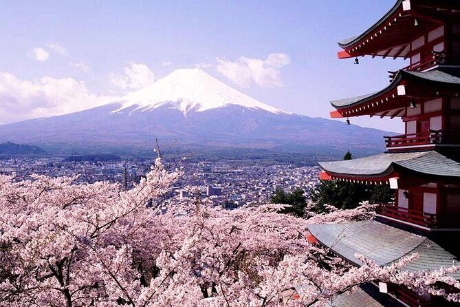 Mt Fuji and Izu Deep View 2 Day Tour from Tokyo - Key Points