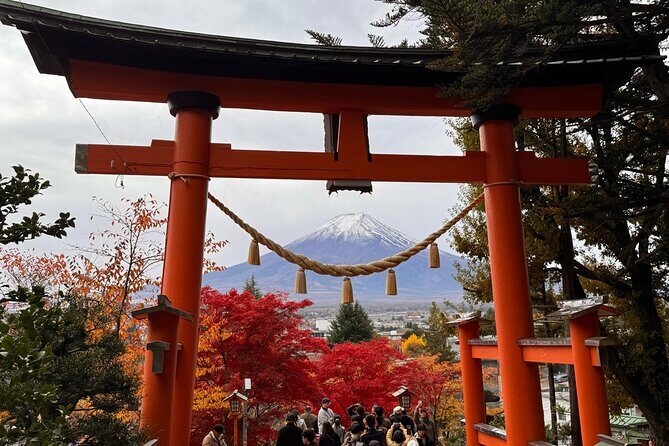 Mt Fuji and Lake Kawaguchi 1-Day Luxury Bus Tour From Tokyo - Who Is This Tour Best For?