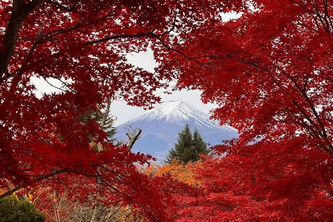 Mt Fuji and Lake Kawaguchi 1-Day Luxury Bus Tour From Tokyo - FAQ