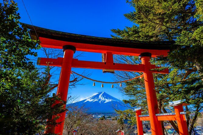 Mt. Fuji and Lake Kawaguchiko Private Full Day Tour - Who is this tour best suited for?