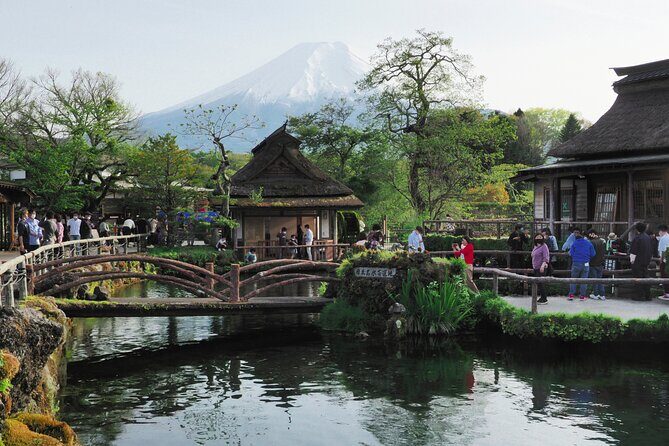 Mt. Fuji and Lake Kawaguchiko Private Tour by Car - Practical Considerations