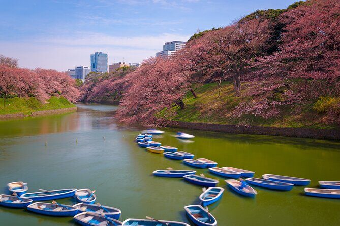 Mt Fuji and Tokyo - 2 Day Private Car Tour "ENGLISH DRIVER" - Why Travelers Rave About This Tour