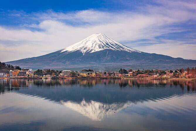 Mt Fuji and Tokyo - 2 Day Private Car Tour "ENGLISH DRIVER" - The Value of a Private Tour in Japan