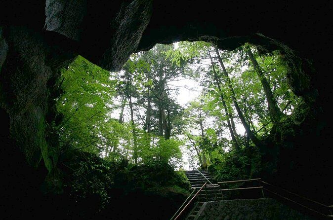 Mt. Fuji Aokigahara Forest Tour with Licensed Guide and Vehicle - Who Should Book This Tour?