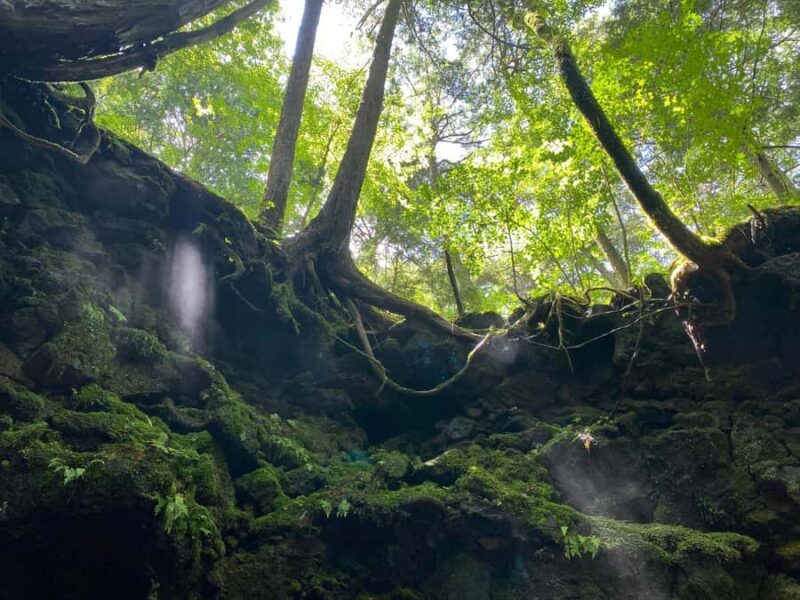 Mt Fuji Area: In-depth Guided Adventure in English - Key Points