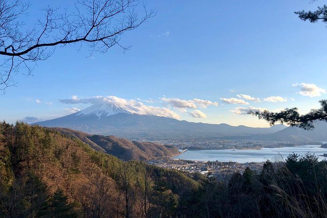 Mt Fuji Area Private Guided Tours in English-Nature up close, quiet, personal - Kawaguchi Asama Shrine: Ancient Forest and History