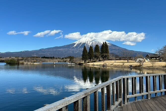 Mt.Fuji area Tour from Shimizu Port /Small Bus - Practical Tips for Participants