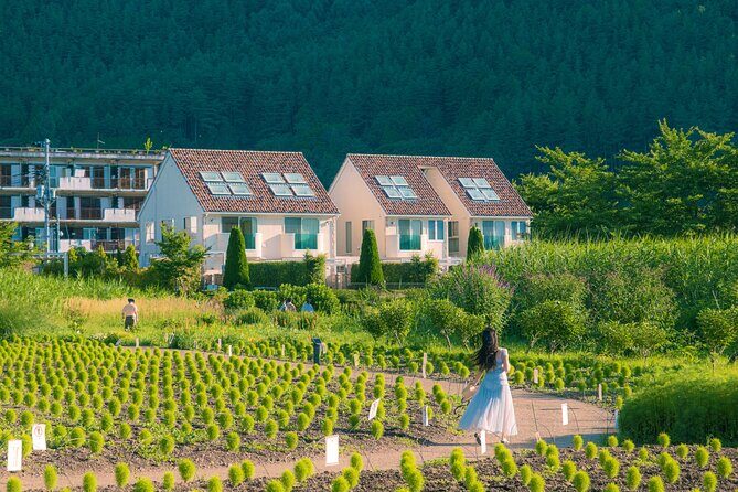 Mt. Fuji Autumn leaves And Heritage Village Trip Tokyo - FAQs