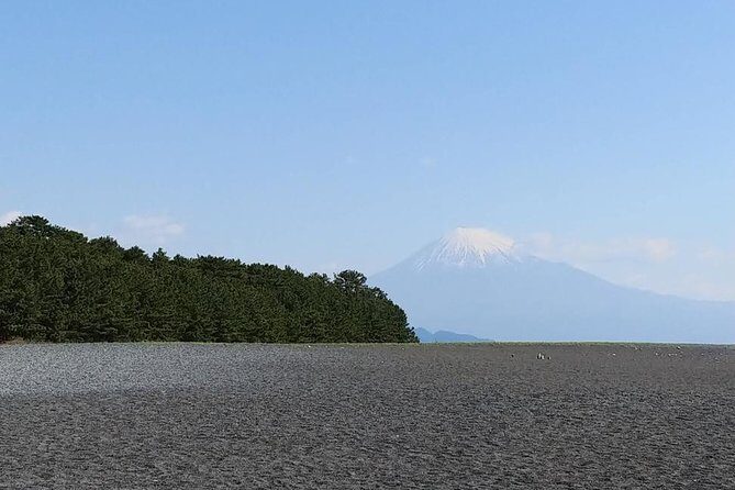 Mt.Fuji Chartered Taxi Tour - Introduction to the Tour Experience
