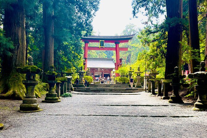 Mt. Fuji, Cherry Blossom & Shiba Sakura Pvt. Day Tour - Who Would Love This Tour?