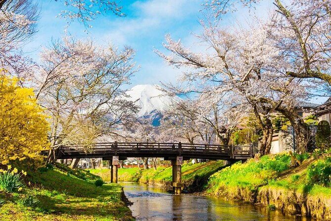 Mt. Fuji Classic One Day Tour from Tokyo - Exploring the Itinerary: What You’ll Experience