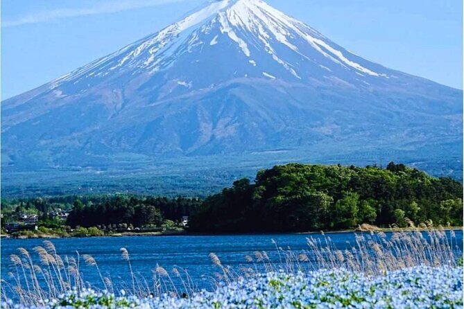 Mt. Fuji Classic One Day Tour from Tokyo - Who Is This Tour Best For?