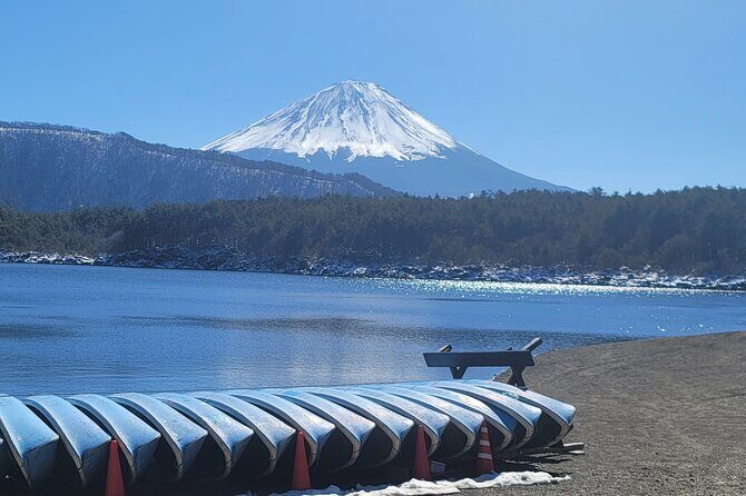 Mt Fuji Day Tour by Car With English Speaking Chauffeurs - Key Points