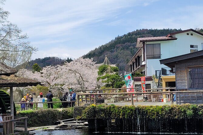 Mt Fuji Day Tour by Car With English Speaking Chauffeurs - First Impressions: Who Is This Tour For?