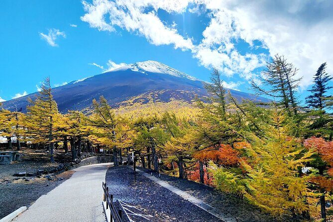 Mt Fuji Day Tour by Car With English Speaking Chauffeurs - Tour Comfort, Value, and Logistics