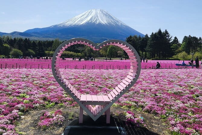 Mt. Fuji Day Tour by Private Minivan with Licensed Tour Guide and Driver - Frequently Asked Questions