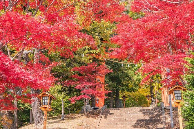 Mt Fuji Day Tour: Chureito Pagoda, Lake Kawaguchi & Oshino Hakkai - Breaking Down the Itinerary