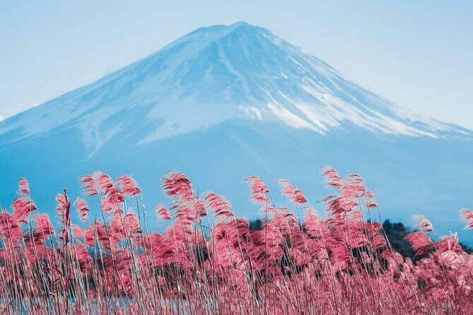 Mt Fuji Day Tour: Chureito Pagoda, Lake Kawaguchi & Oshino Hakkai - Who Should Consider This Tour?
