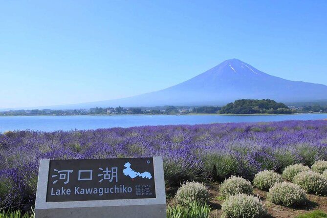 Mt Fuji Day Tour: Chureito Pagoda, Lake Kawaguchi & Oshino Hakkai - Final Thoughts