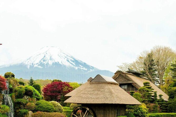 Mt Fuji Day Tour: Chureito Pagoda, Lake Kawaguchi & Oshino Hakkai - Frequently Asked Questions