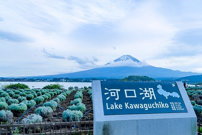 Mt FUJI Day Tour with Private Car and English Speaking Guide - What’s not included?
