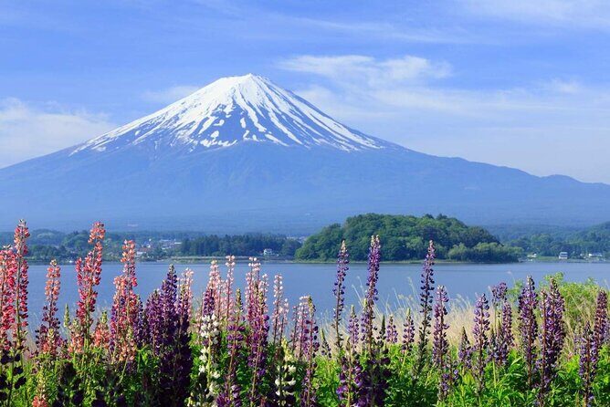 Mt. Fuji Day Trip Arakurayama Sengen and Instagrammable Lawson - Key Points