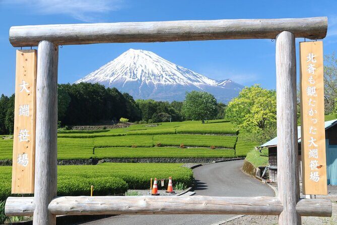 Mt. Fuji Day Trip by Shinkansen & Private Car with Local Culture - Key Points