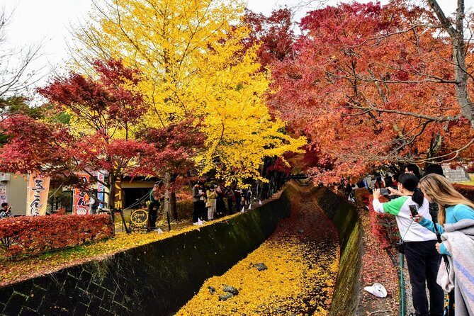 Mt Fuji day trip from Tokyo by car with photographer guide - Comfort, Convenience, and Customization