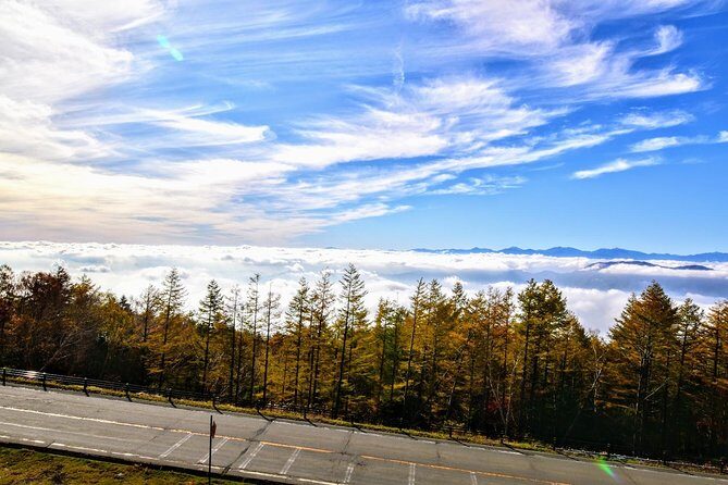 Mt Fuji day trip from Tokyo by car with photographer guide - What the Reviews Say