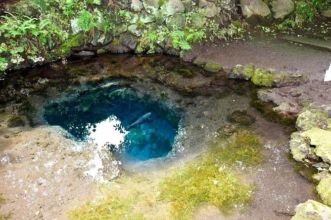 Mt Fuji day trip from Tokyo by car with photographer guide - Analyzing the Value