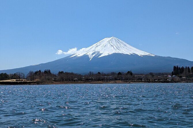 Mt. Fuji Day Trip from Tokyo with English Speaking Driver - The Overview: An Easy Escape to Mount Fujis Majesty