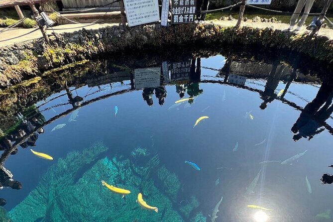 Mt. Fuji Day Trip from Tokyo with English Speaking Driver - Transport, Timing, and Group Size