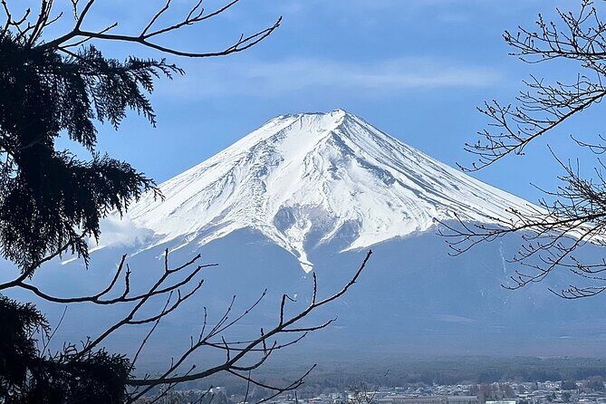 Mt. Fuji Day Trip from Tokyo with English Speaking Driver - FAQ: Practical Questions Answered