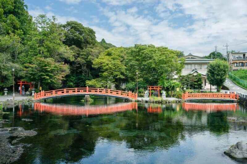 Mt.Fuji Day Trip from Tokyo:Strawberry,Tea Farm(Small Group) - Who Will Love This Tour?