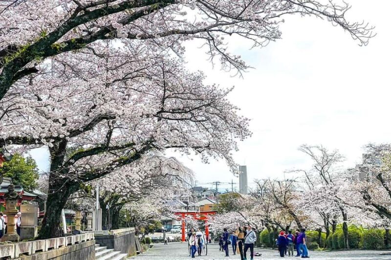 Mt.Fuji Day Trip from Tokyo:Strawberry,Tea Farm(Small Group) - FAQs
