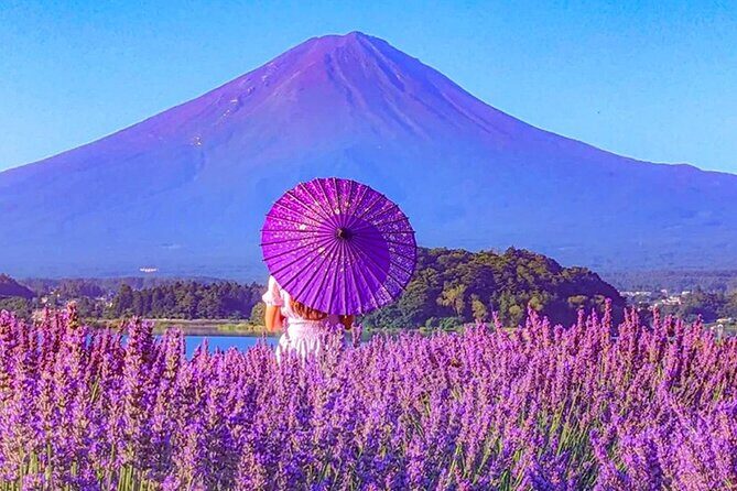 Mt Fuji Day Trip KABA Bus Lake Cruise and Lawson Photo - Pricing and Value