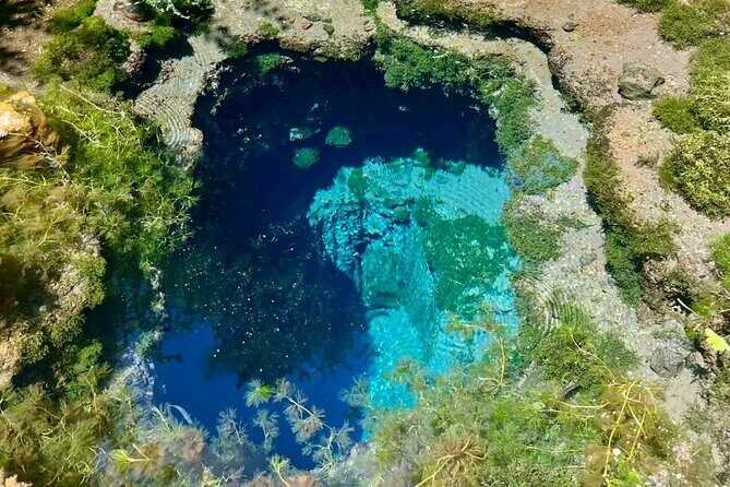 Mt. Fuji Early Morning E-Bike Tour - Who Should Consider This Tour?