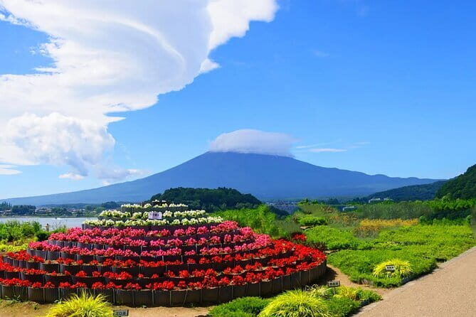 Mt Fuji Exploration Tour with Free Japanese Kusa Mochi from Tokyo - Exploring Mount Fuji from Tokyo: An Honest Review of the Guided Tour